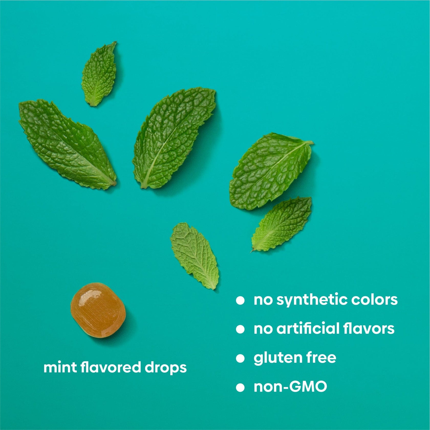Stomach Settle® Nausea Relief Drops, Mint - Settle Upset Stomach – UpSpring